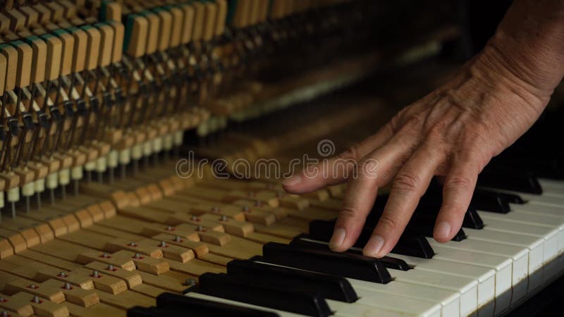 The Fingers of the Master Beat the Keys of the Old Piano in Order To ...