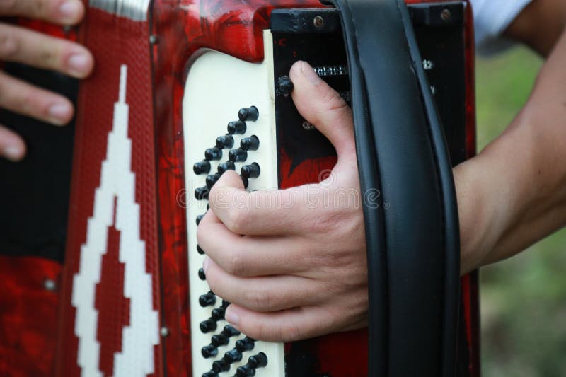 Fingers Moving Fast on the Buttons of the Accordion Stock Image - Image ...