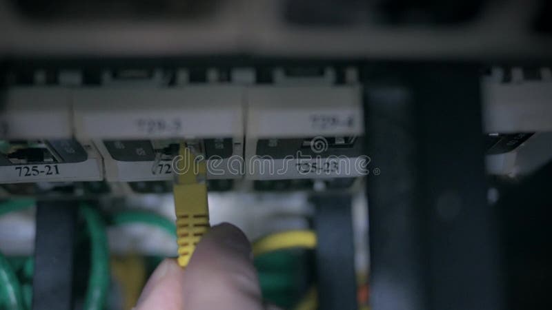 The Fingers Pluging the Ethernet Cable into the Patch Panel. Stock ...