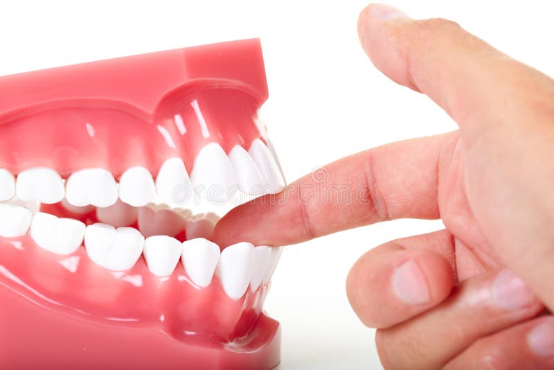 Fingers and teeth stock image. Image of student, tooth - 48009007