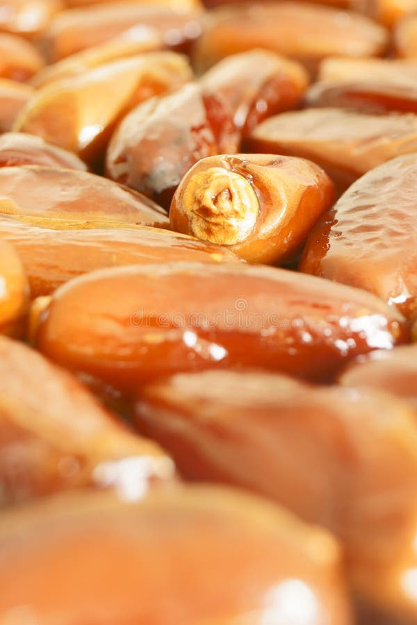 Finik 库存照片. 图片 包括有 特写镜头, 阿拉伯, 茶点, 东部, 异国情调, 原始, 节食, 对象 - 31807734