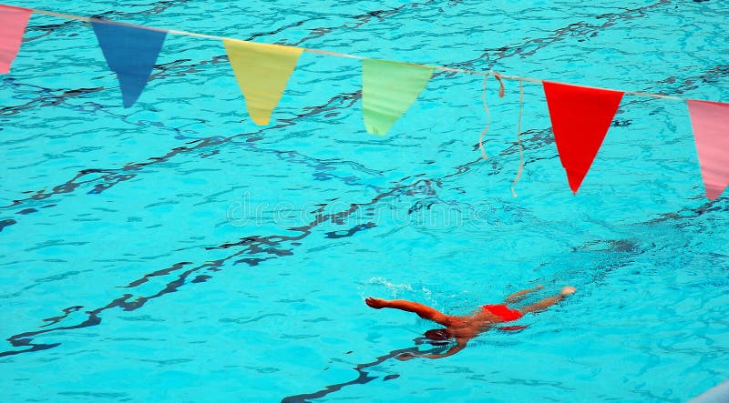 Competitive Swimming stock photo. Image of determination - 2282570