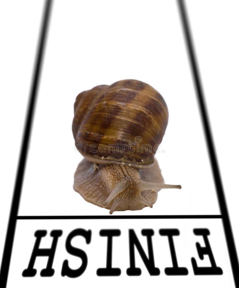 268 Snail Finish Line Stock Photos - Free & Royalty-Free Stock Photos ...