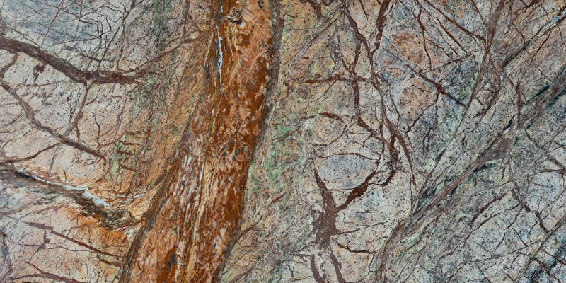 Finishing Stone, Crustacean Shell, Sedimentary Rock Stock Image - Image ...