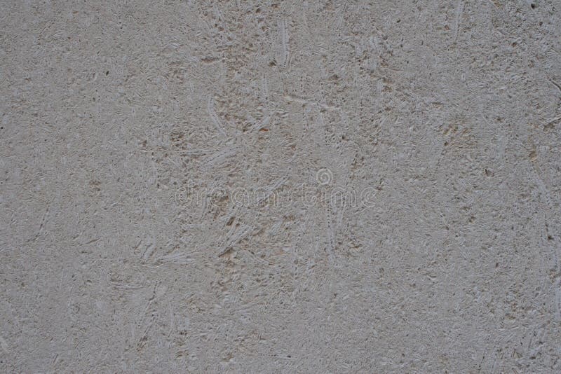 Sea Shell with Light Grey Textured Background Wallpaper, Stock Image ...