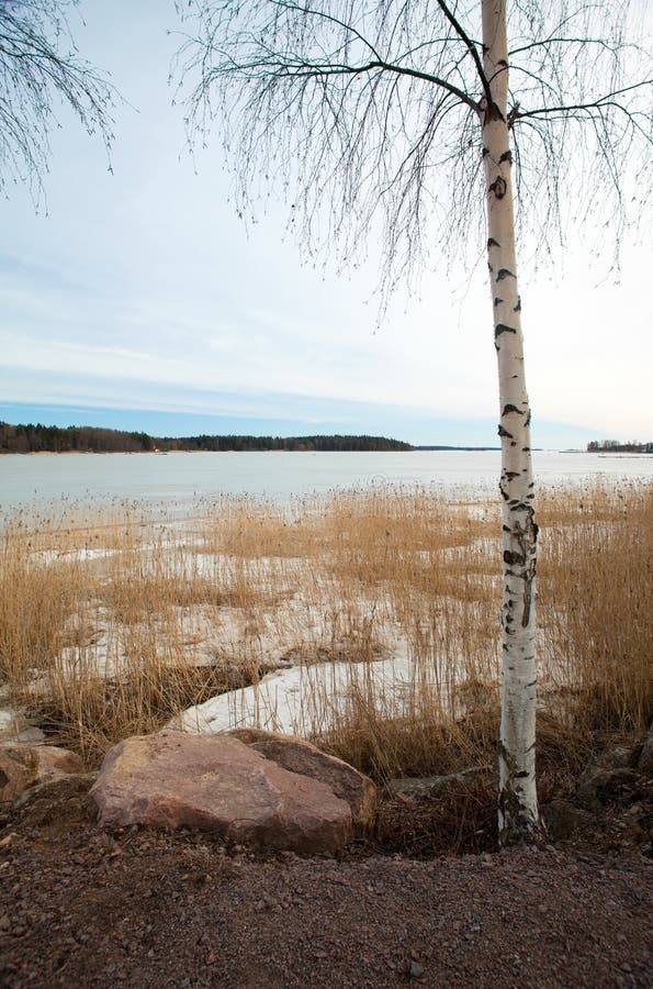 Finland, early spring stock photo. Image of scandinavia - 39293986