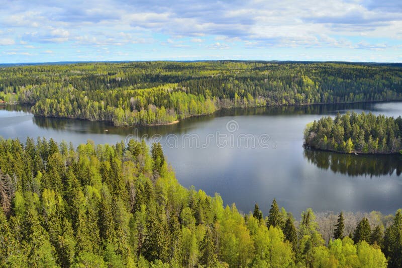 Finland: Spring By A Calm Lake Stock Photo - Image of calm, trees: 34519506