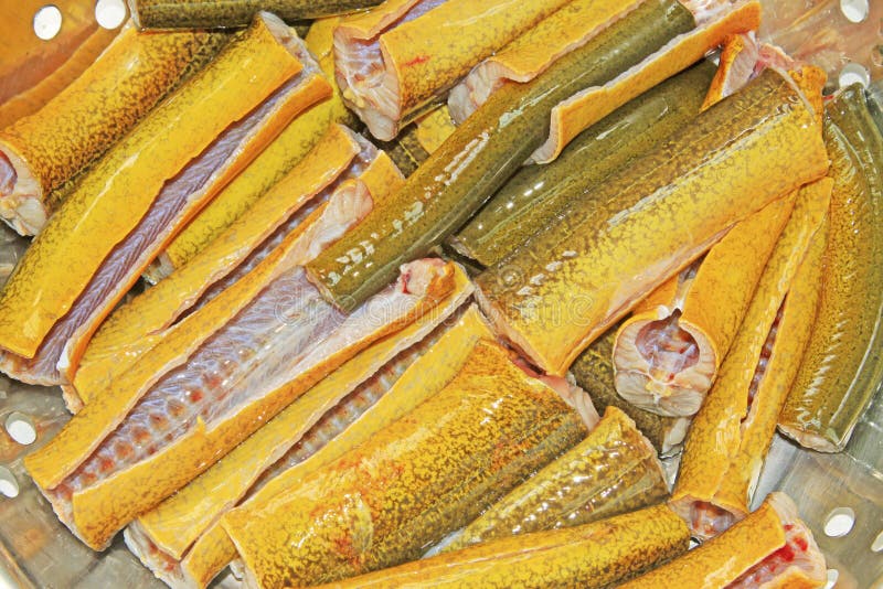 Finless Eel Section Ready for Cooking Stock Photo - Image of skin ...