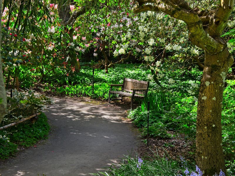 Finnerty Gardens blooms stock image. Image of island - 211525663