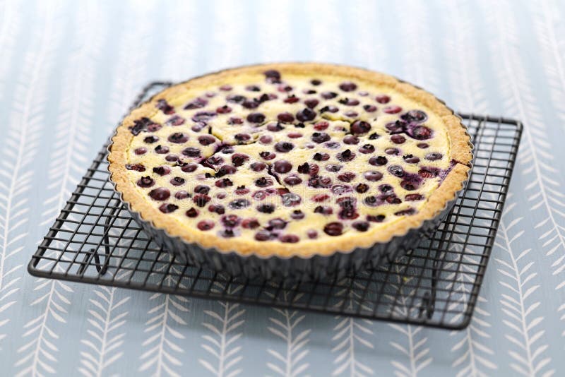 Finnish Blueberry Pie Mustikkapiirakka on a Cake Cooler Stock Photo ...