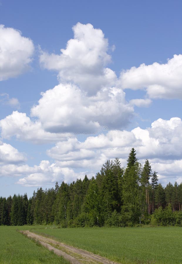 Finnish countryside stock image. Image of forest, shire - 10141585