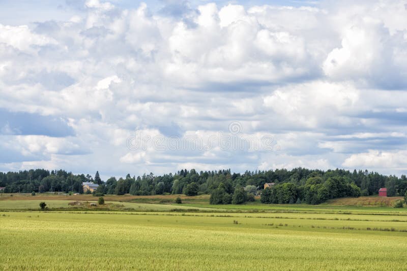 Finnish Countryside Landscape Stock Image - Image of flourish, land ...
