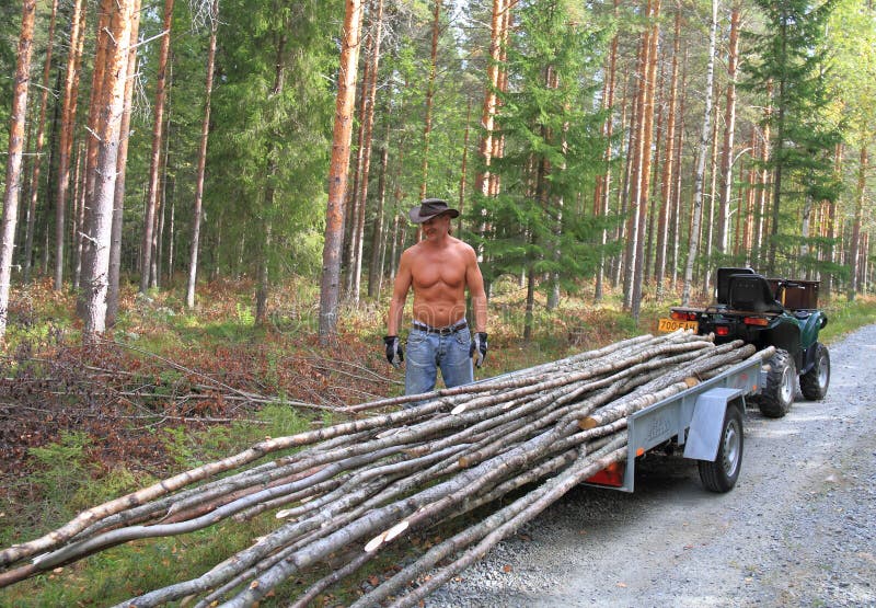 Finland: Cowboy logger editorial stock photo. Image of pine - 34731583