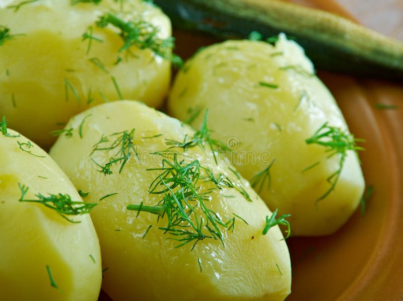 Finnish new potatoes stock photo. Image of meal, uudet - 77876446