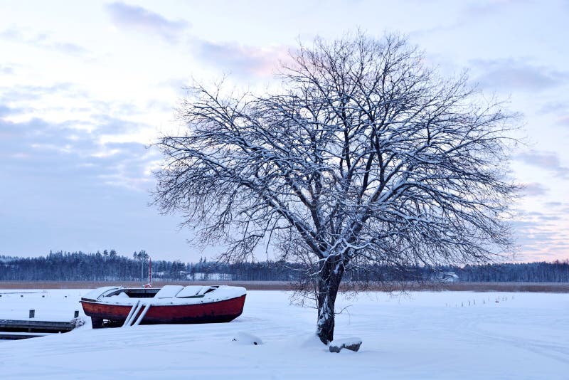 Finnish winter landscape stock photo. Image of nature - 136955274