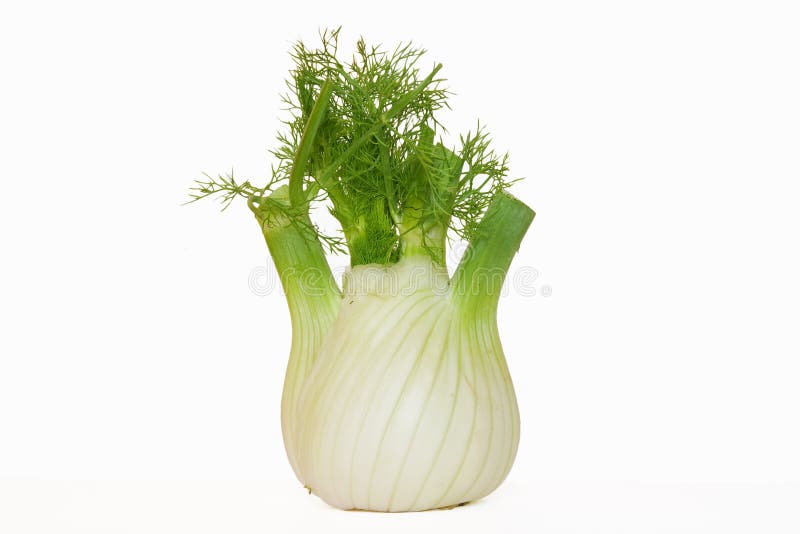Topview del finocchio immagine stock. Immagine di vitamine - 21067553
