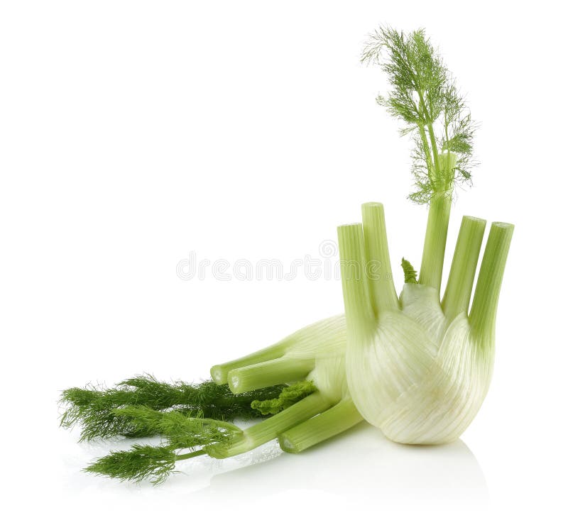 Finocchio fresco immagine stock. Immagine di bevanda - 69443675