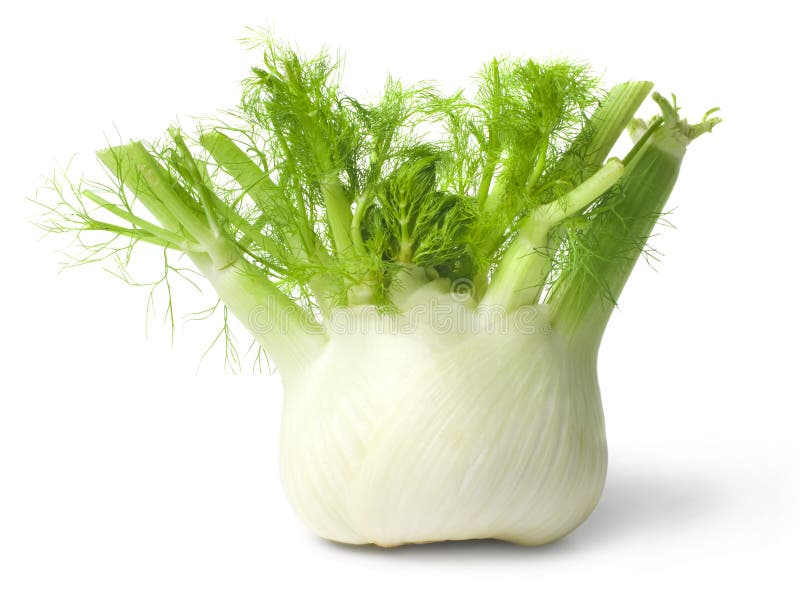 Topview del finocchio immagine stock. Immagine di vitamine - 21067553