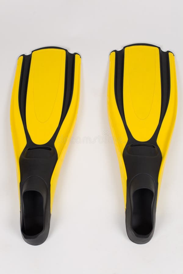 Fins stock photo. Image of relaxation, diving, recreational - 10137912