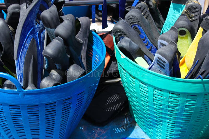 Fins stock image. Image of fins, ocean, lagoon, snorkeling - 23624467