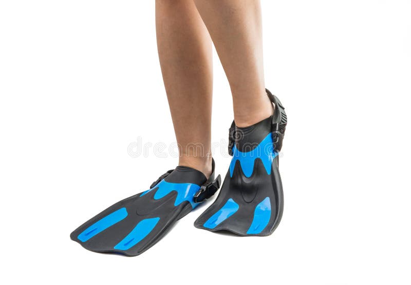 502 Fins Legs Stock Photos - Free & Royalty-Free Stock Photos from ...