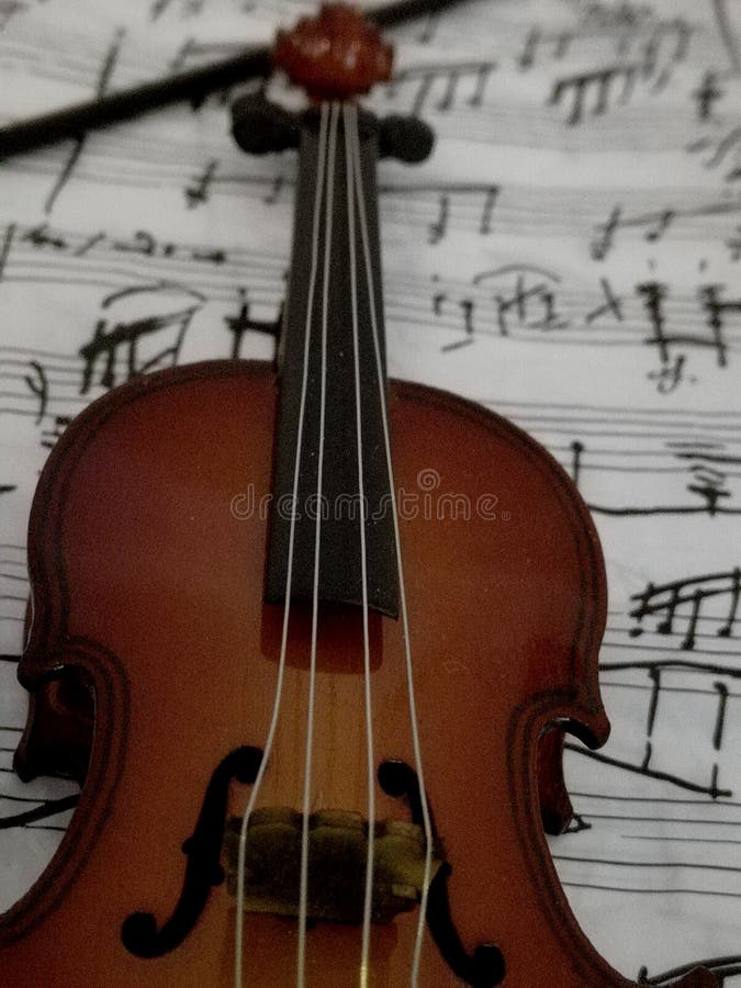 Fiol fotografering för bildbyråer. Bild av instrument - 107036635