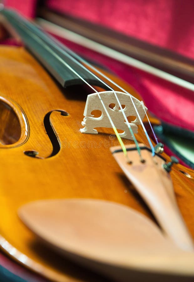 Fiol fotografering för bildbyråer. Bild av fiddlapp, baroisk - 18496711