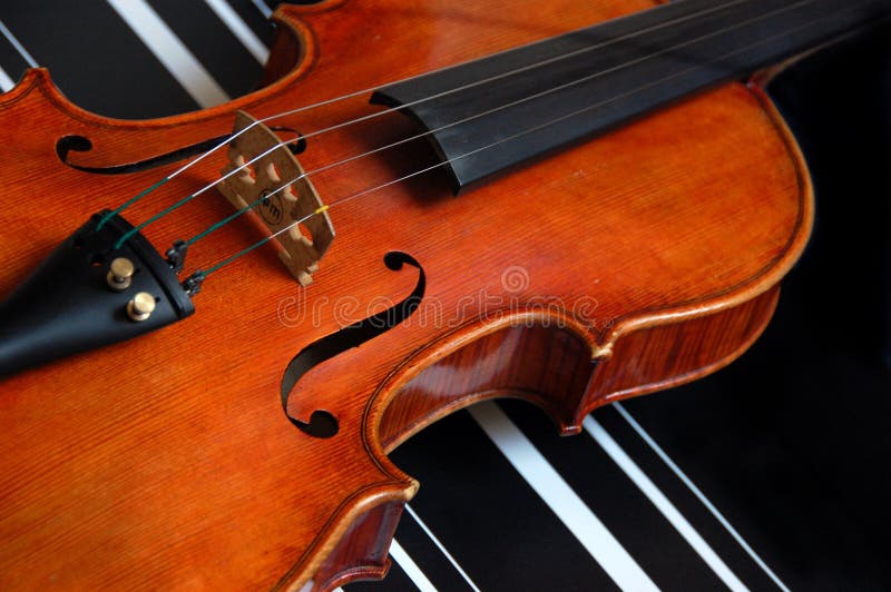 Fiol arkivfoto. Bild av konsert, vitt, stänga, svart, instrument - 5341150