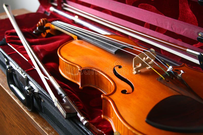 Fiol arkivfoto. Bild av nätt, sittande, panera, vila, instrument - 5916024