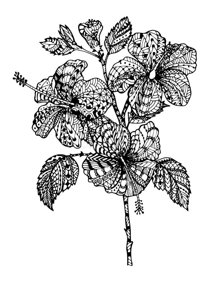Fiore Zentangle illustrazione vettoriale. Illustrazione di nero - 73504286