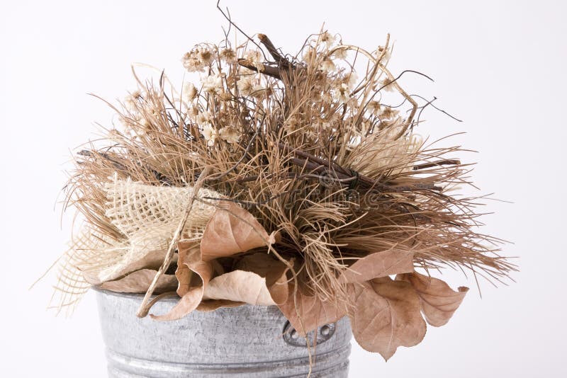Fiori secchi fotografia stock. Immagine di mazzo, guasto - 6906078