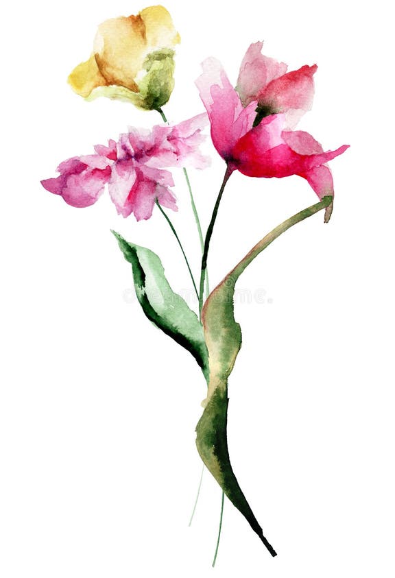 Fiori Stilizzati Della Sorgente Illustrazione di Stock - Illustrazione ...