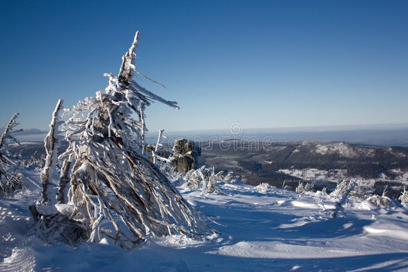 The fir stock photo. Image of summit, mountain, landscape - 13021784