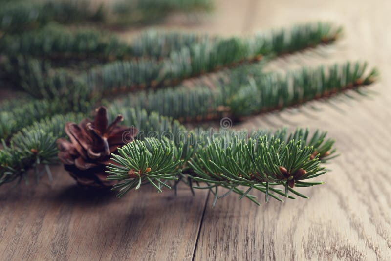Fir Branch Close Up on Oak Table Stock Image - Image of wood, symbol ...
