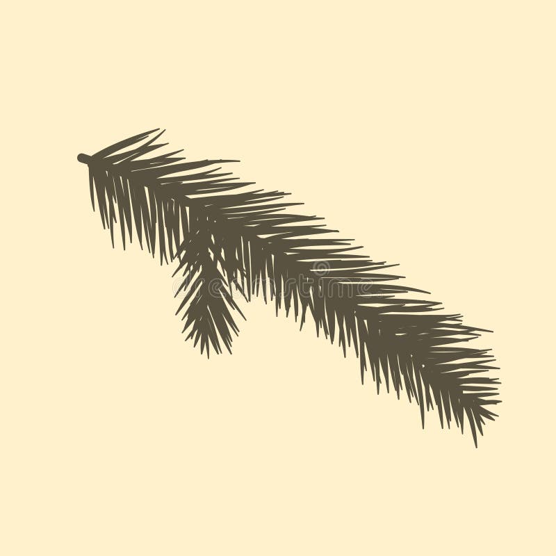 Fir Branch Isolated Vector Illustration. Stock Vector - Illustration of ...