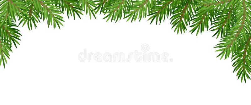 Fir Branch on White Background for Website Header Stock Vector ...