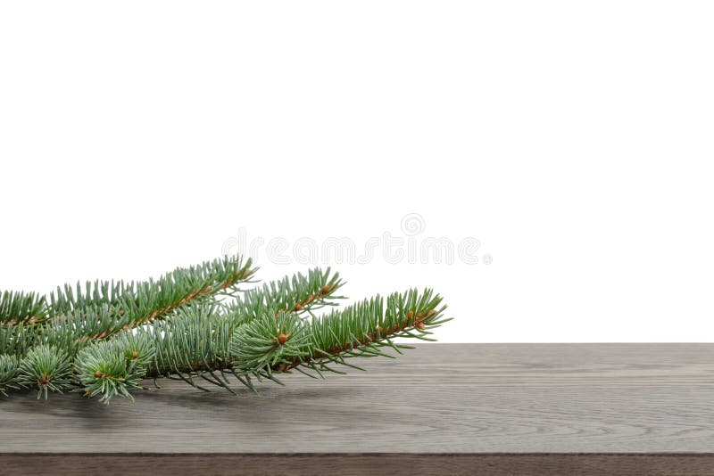 Fir Branch on Wood Table, White Background Stock Photo - Image of ...