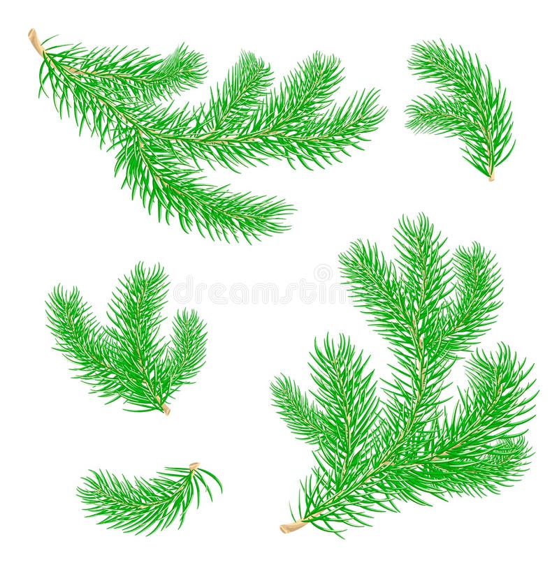Conifer Symbol Stock Illustrations – 9,972 Conifer Symbol Stock ...