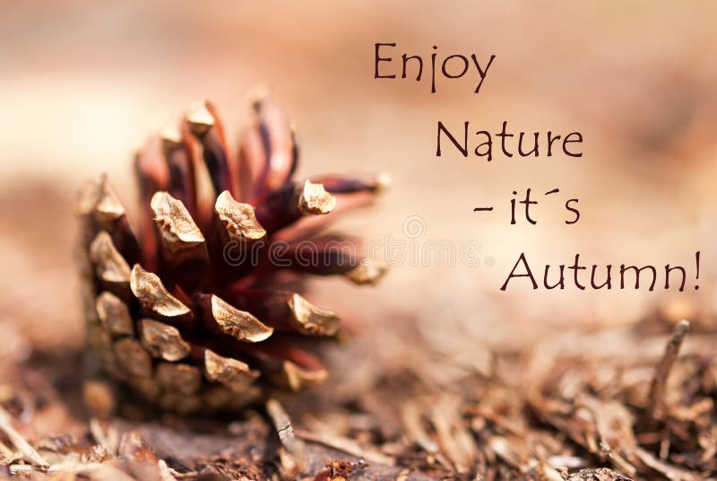 Happy Thanksgiving Greetings Sayings Stock Photos - Free & Royalty-Free ...