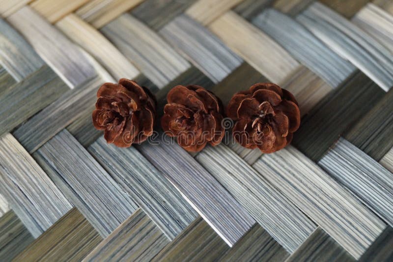 Basket with Fir Cones, Cones Enupar and Acorn Stock Photo - Image of ...