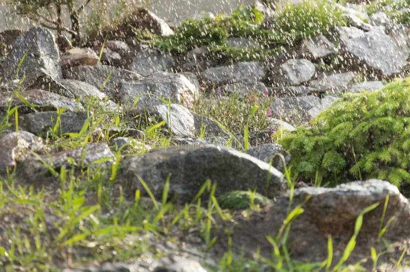 Fir decorative stone stock image. Image of work, sprays - 48020351