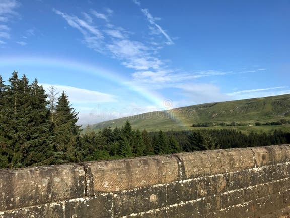 Fir Forest and a Beautiful Rainbow Over it Stock Photo - Image of tree ...