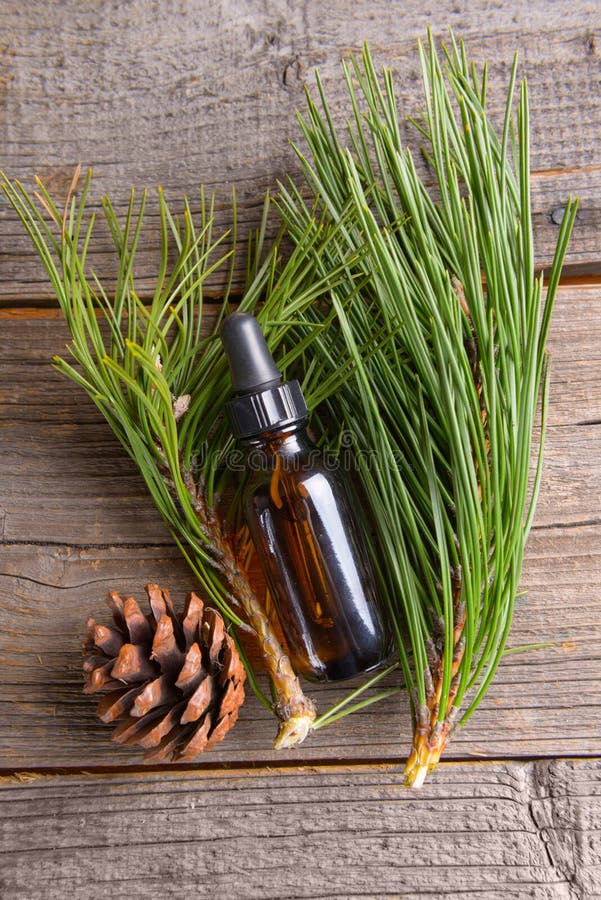 Pine essential oil stock image. Image of essential, brown - 19685401