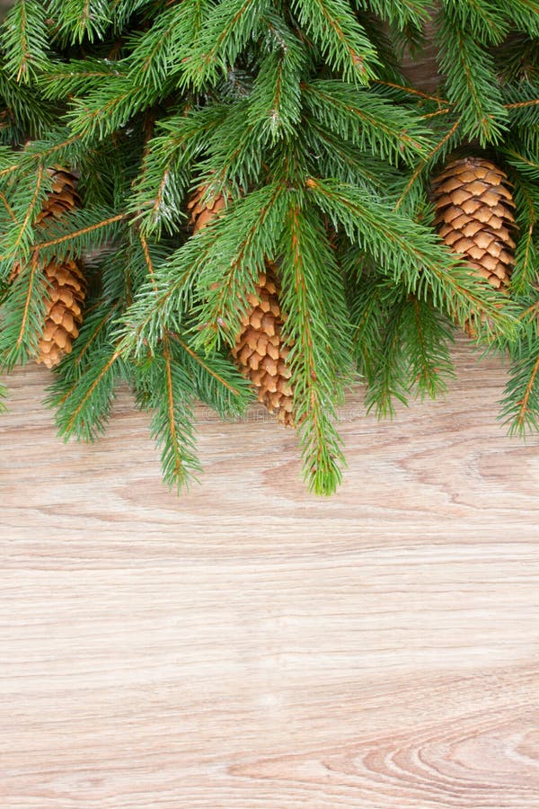 Fir tree border stock image. Image of decor, decorative - 46344195