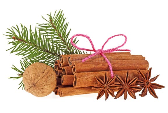 Fir Tree Branch, Anise, Walnut and Cinnamon Sticks on White Background ...