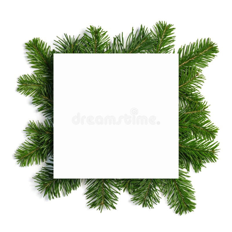 Fir Tree Branch Frame on White Stock Photo - Image of conifer, nature ...