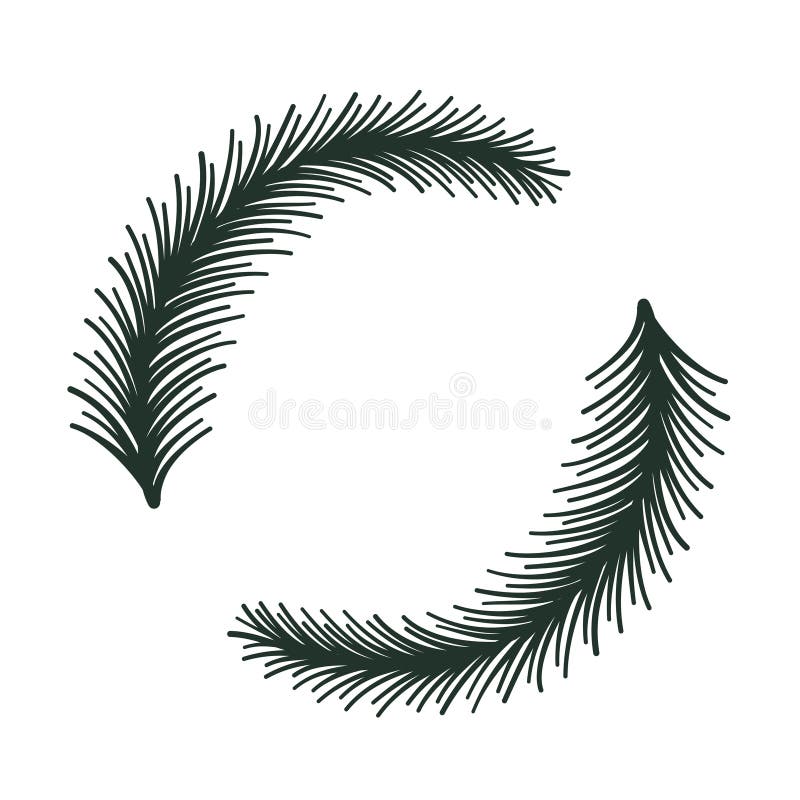 Fir Tree Branch Round Border Design on White, Stock Vector Illustration ...