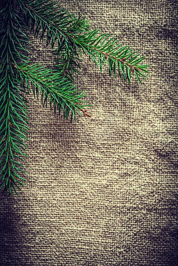 115 Fir Tree Branch Sacking Background Stock Photos - Free & Royalty ...
