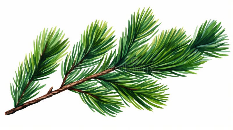 Pine Tree Needles Vector Stock Illustrations – 4,735 Pine Tree Needles ...