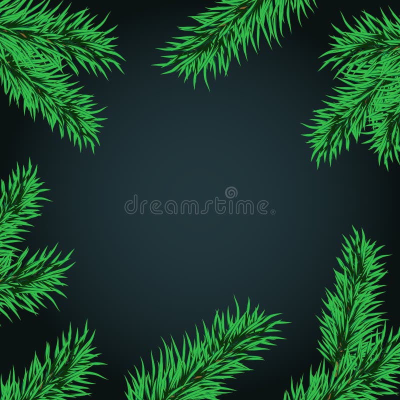 Fir Tree Branches Frame Medium Large Stock Vector - Illustration of ...